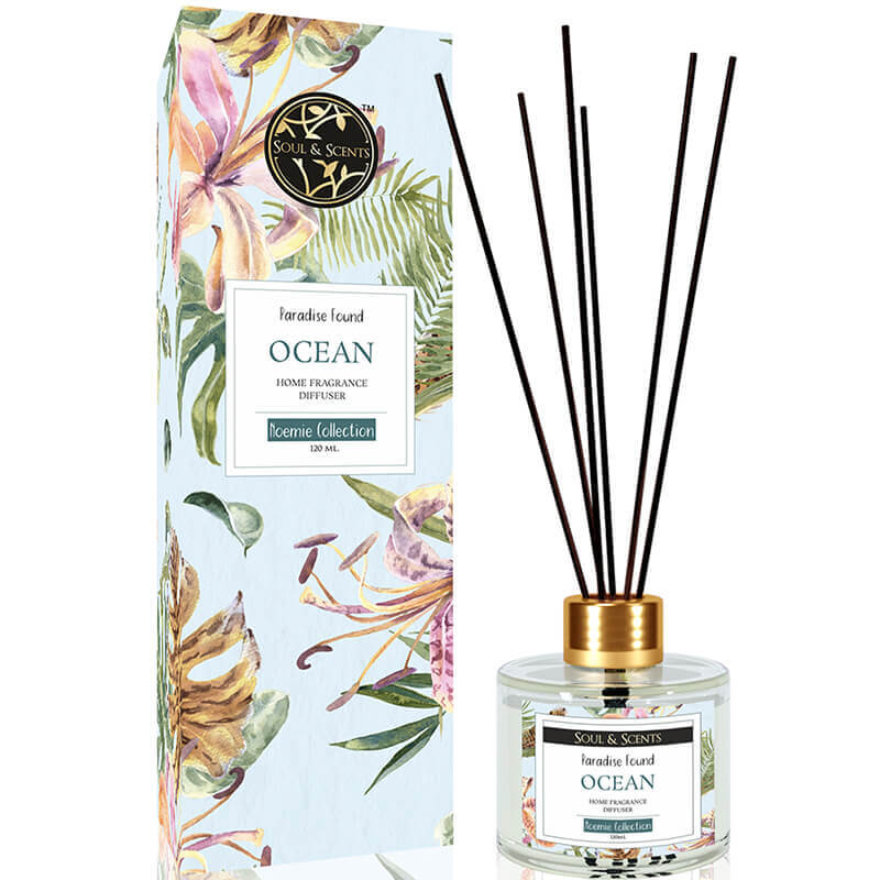 Ocean Reed Diffuser 120ML – The Gift Studio